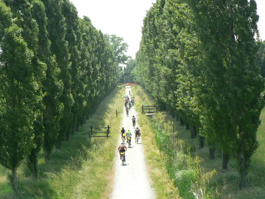 Pioltello, La Città Dei Tre Parchi